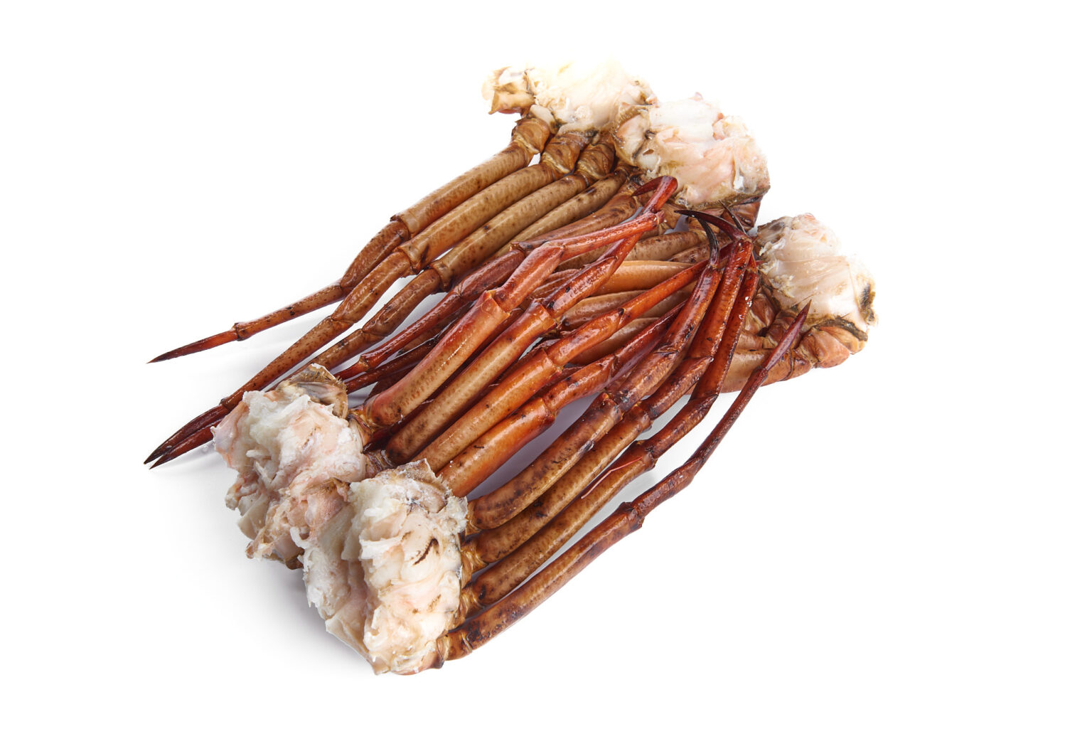 Pechos Medianos Cocidos – Cocedero La Mar Salá